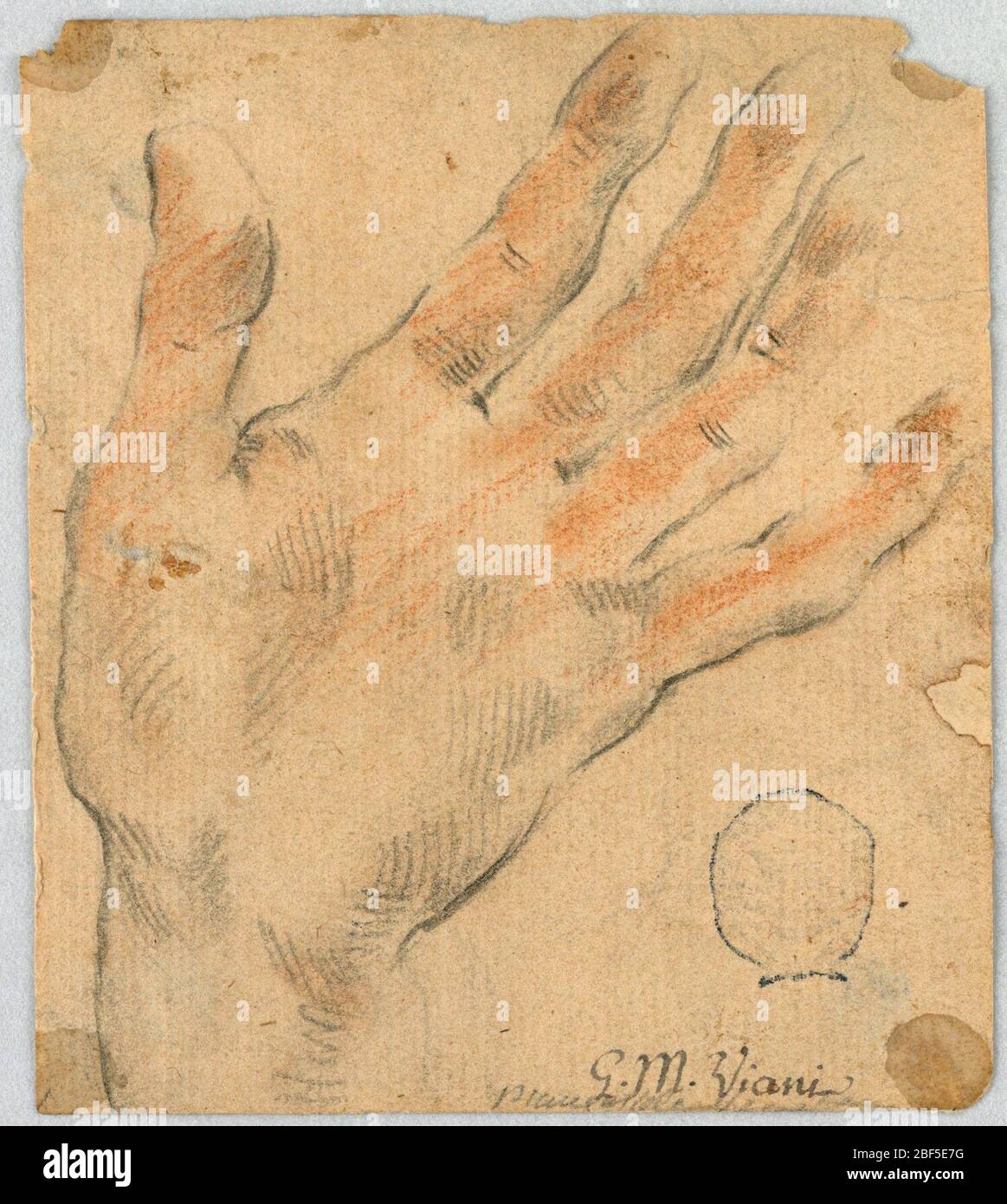 Study A left hand. Vertical composition of a left hand raised with ...