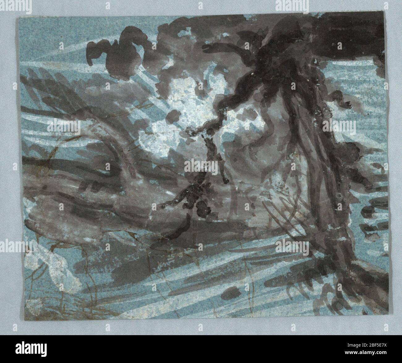 Sketch of a Tree. Loose sketch of a tree on blue paper Stock Photo - Alamy