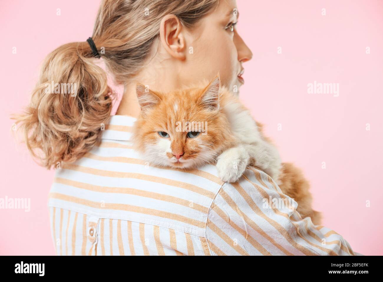 Beautiful young woman with cute cat on color background Stock Photo - Alamy