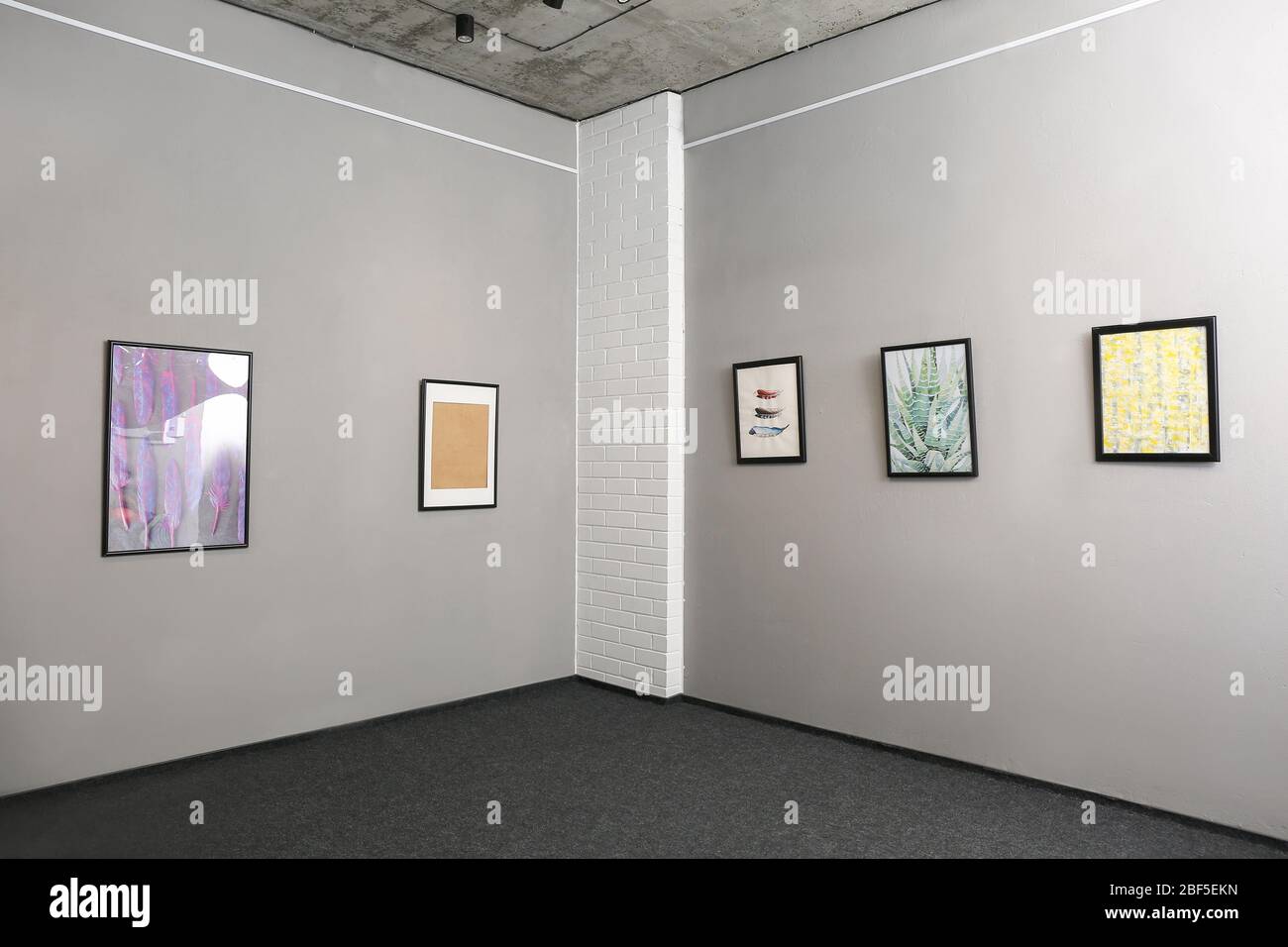 Interior of modern art gallery Stock Photo - Alamy