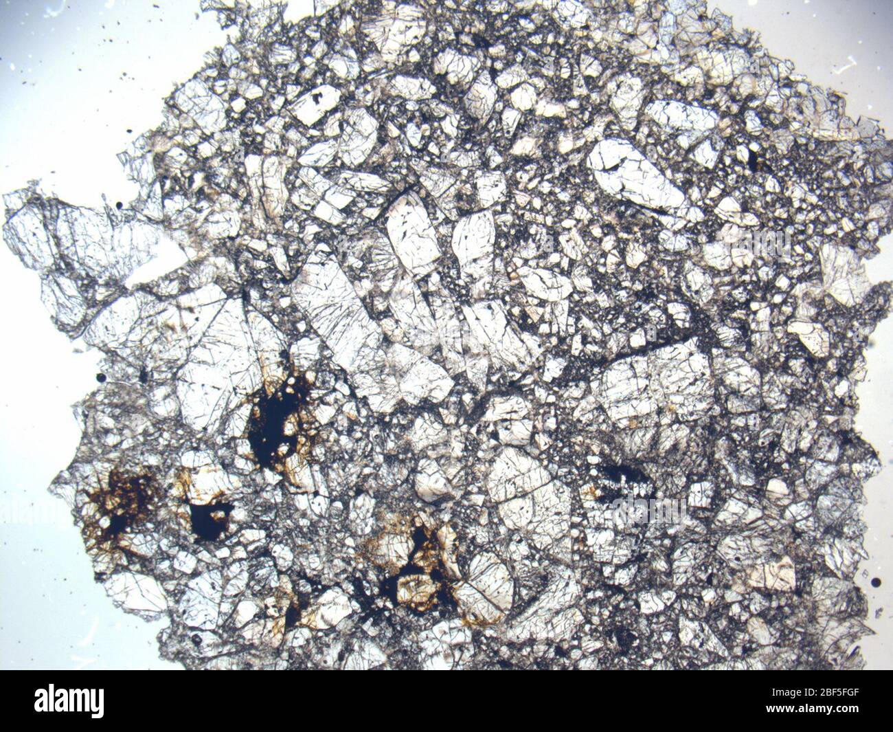 Micrograph of LAP 04836,4 meteorite under plane-polarized light at 1 ...
