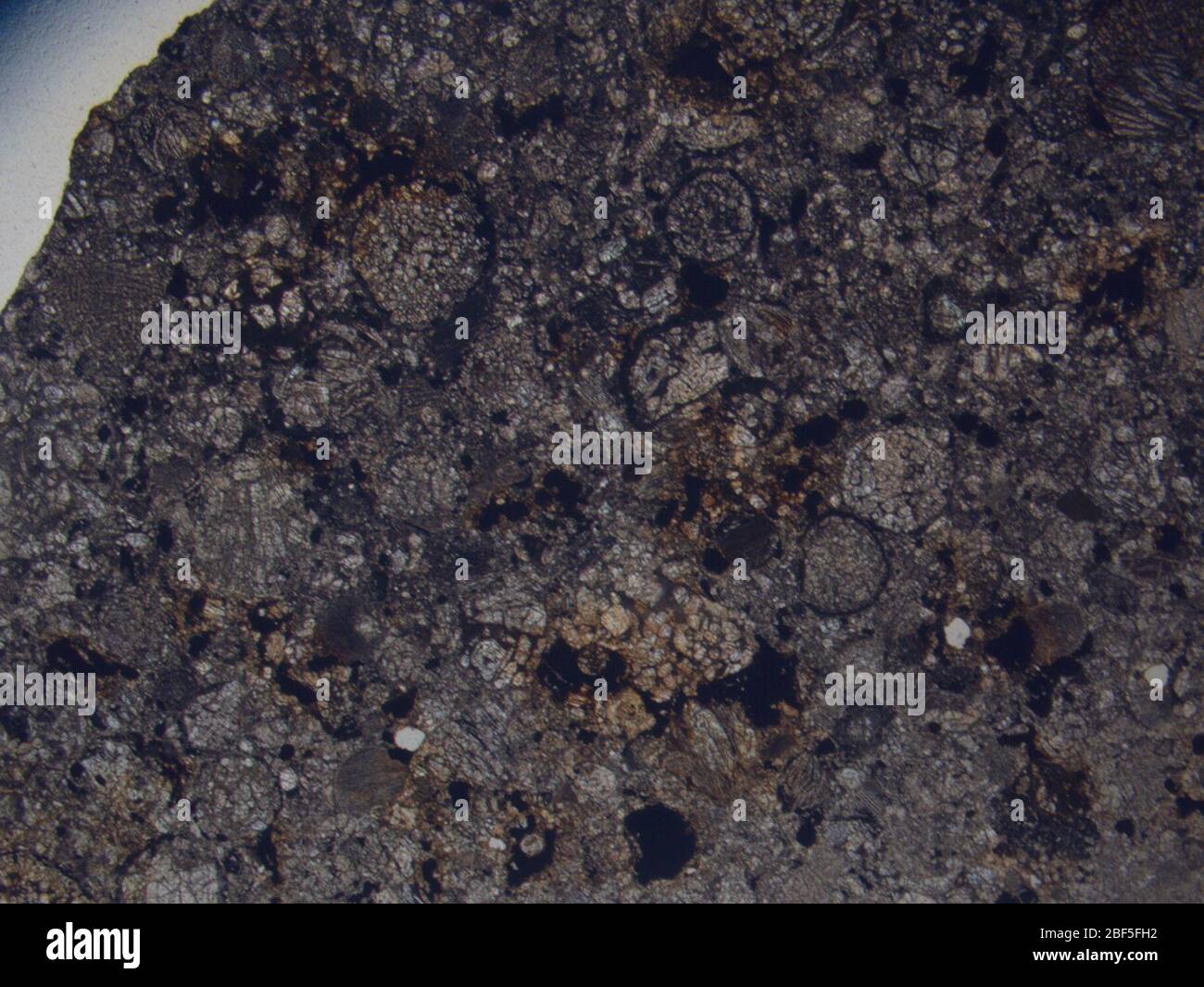 Micrograph of LAP 03714,2 meteorite under plane-polarized light at 1 ...