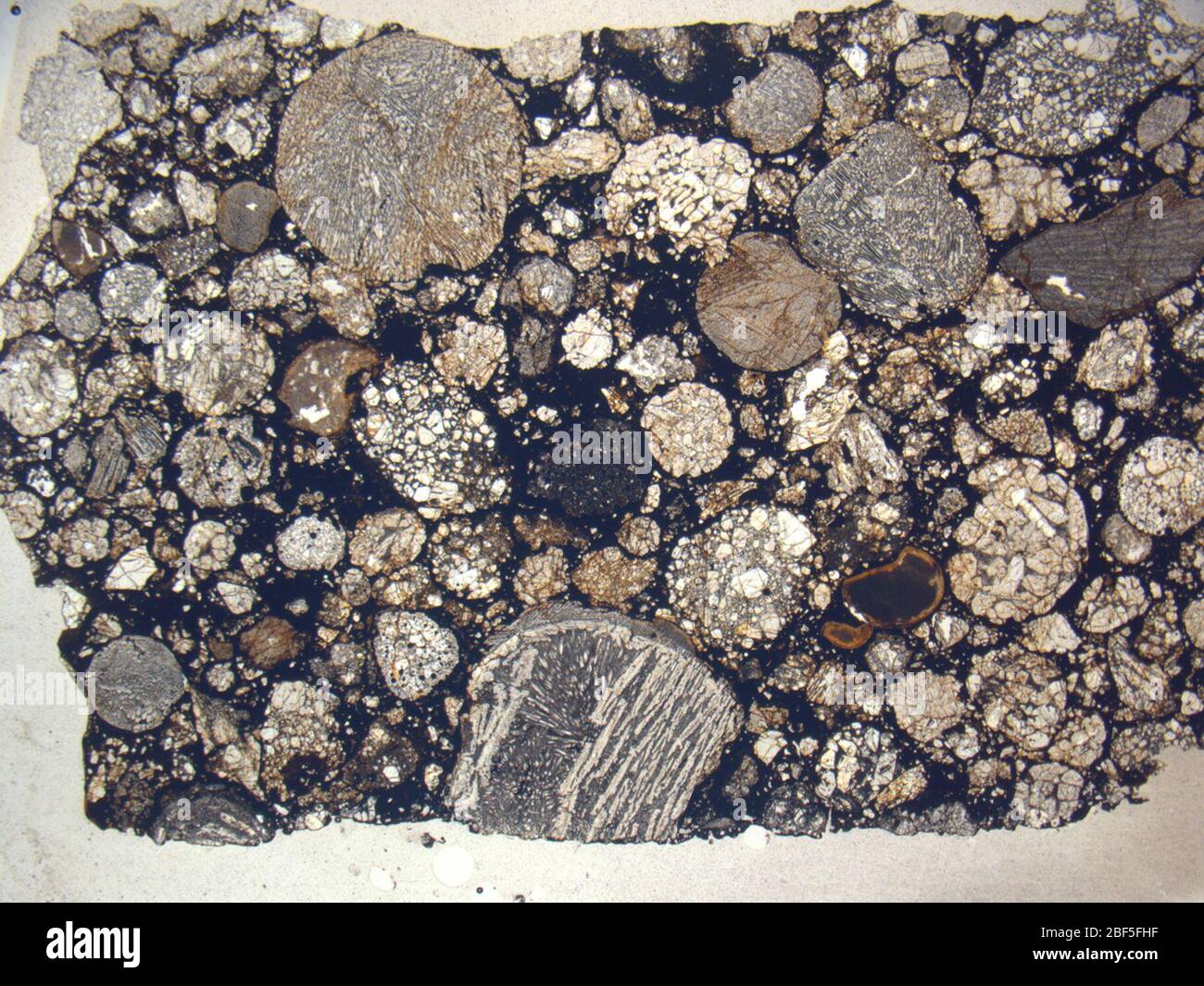 Micrograph of EET 90066,2 meteorite under plane-polarized light at 1 ...