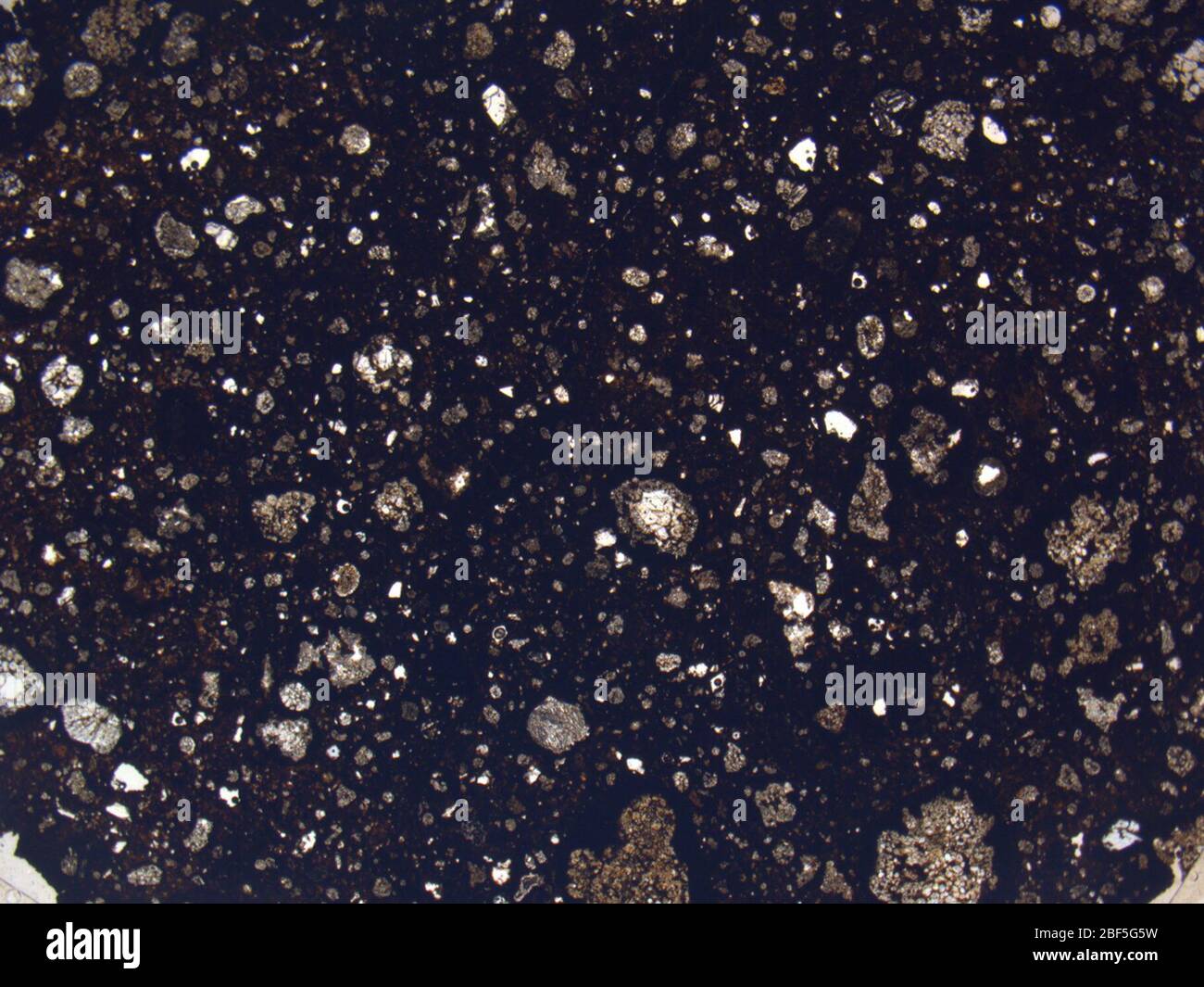 Micrograph of EET 83389,2 meteorite under plane-polarized light at 1 ...