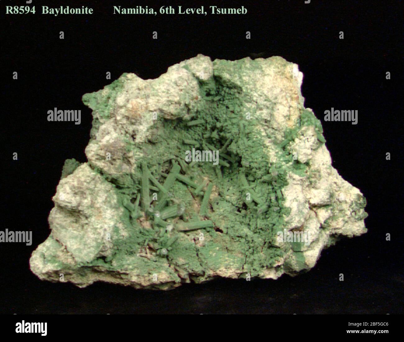 Bayldonite with mimetite (NMNH R8594-00) from the National Mineral ...