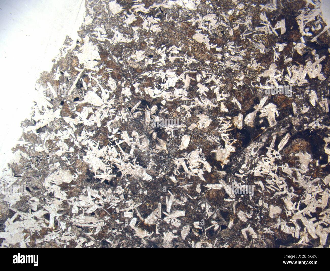 Micrograph Of Lew 86002 5 Meteorite Under Plane Polarized Light At 1