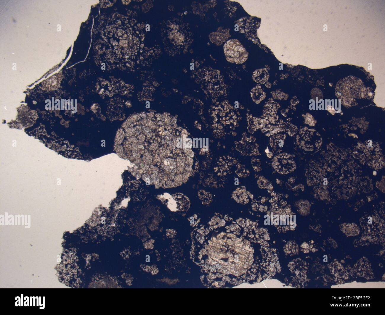 Micrograph of MET 00429,2 meteorite under plane-polarized light at 1 ...
