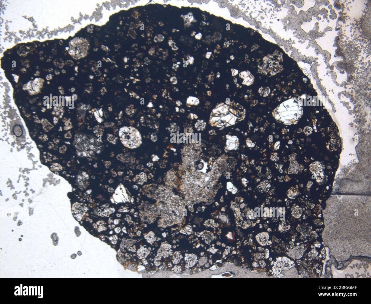 Micrograph of MIL 090264,2 meteorite under plane-polarized light at 2 ...
