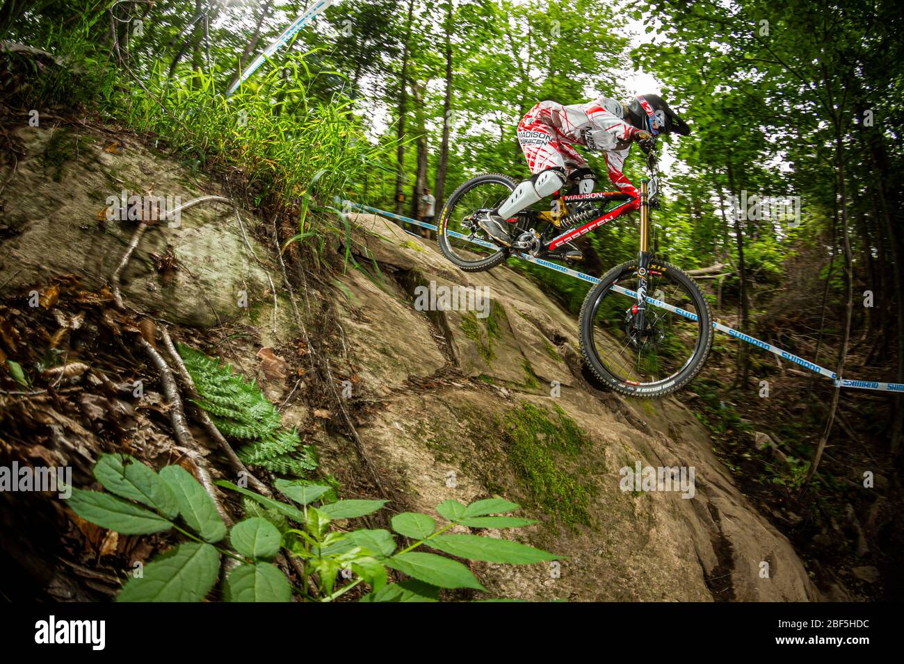 Manon carpenter hi-res stock photography and images - Alamy