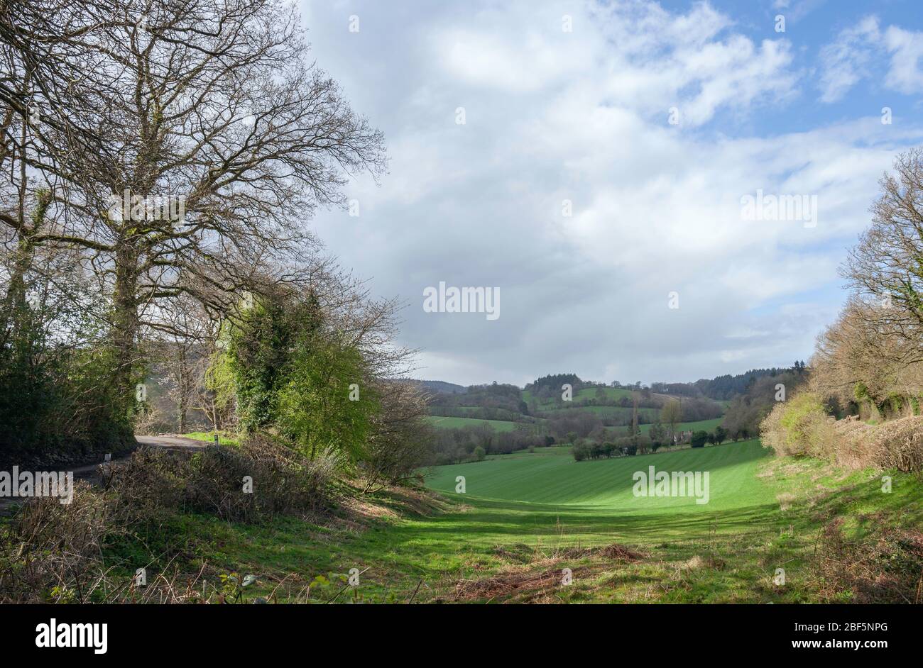 English Country Lane High Resolution Stock Photography and Images - Alamy