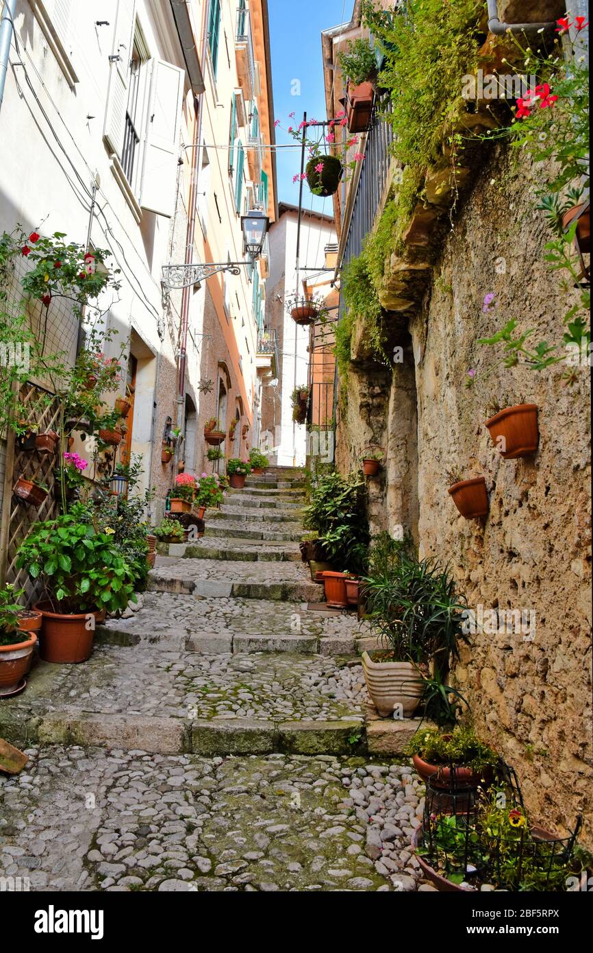 A narrow street between the old houses of Atina, a rural village in the ...