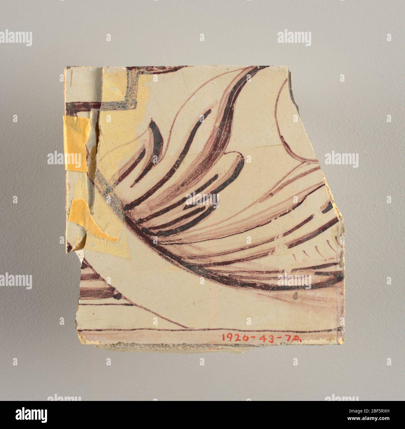 Wall facing. Running design for a frieze or a dado, composed of scrolls ...