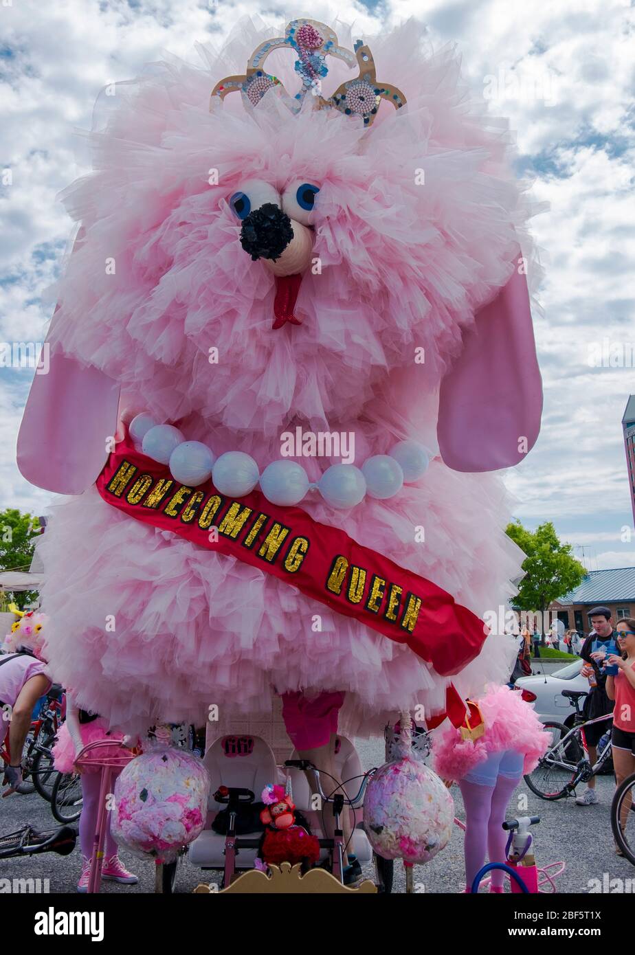 Fifi, the iconic pink poodle, mascot of the Kinetic Sculpture race. In ...