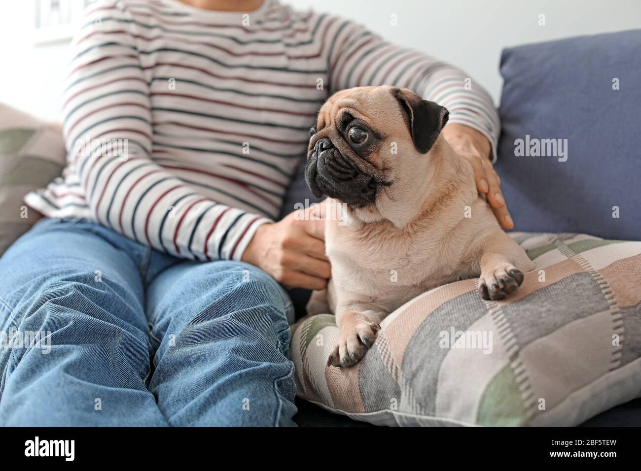 Handsome man with cute pug dog at home Stock Photo - Alamy