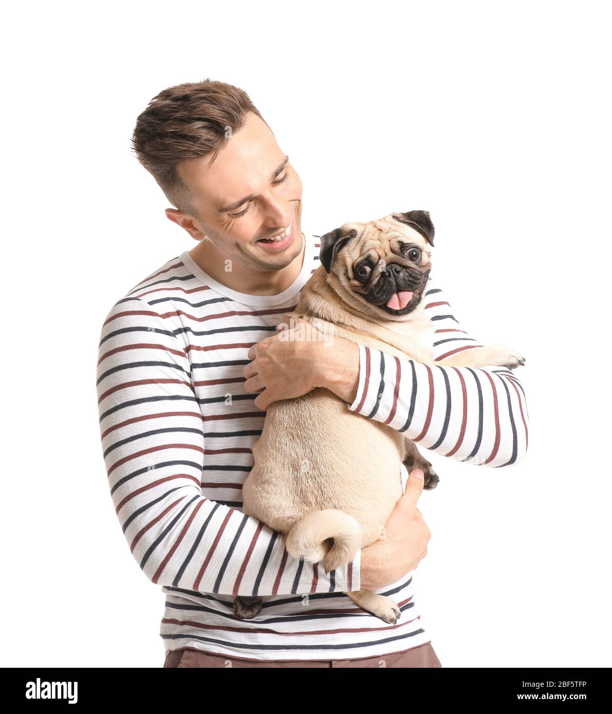 Pugdog white hi-res stock photography and images - Alamy