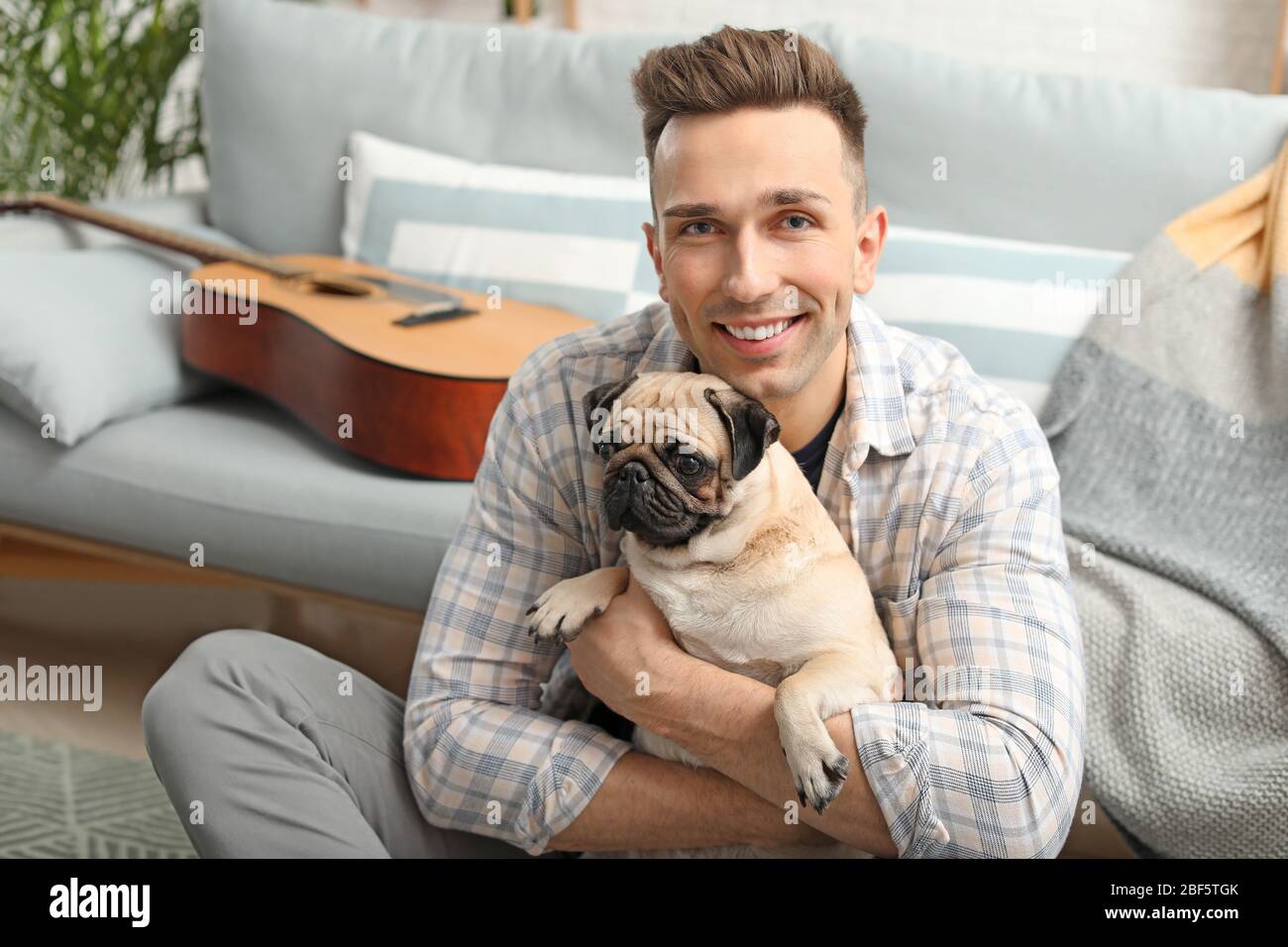 Handsome pug hi-res stock photography and images - Alamy