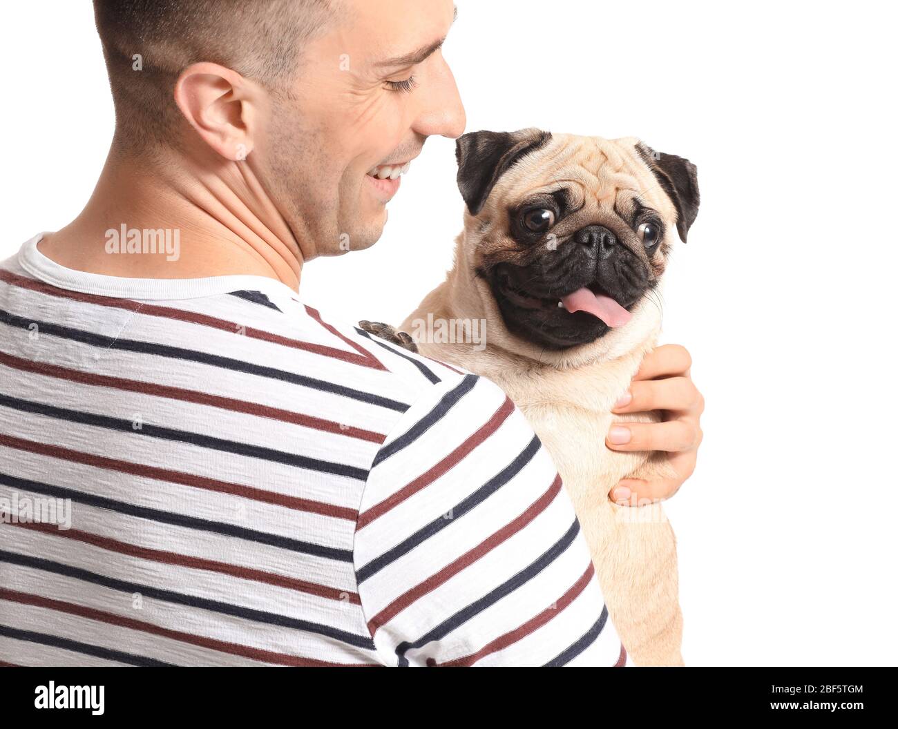 Pugdog white hi-res stock photography and images - Alamy