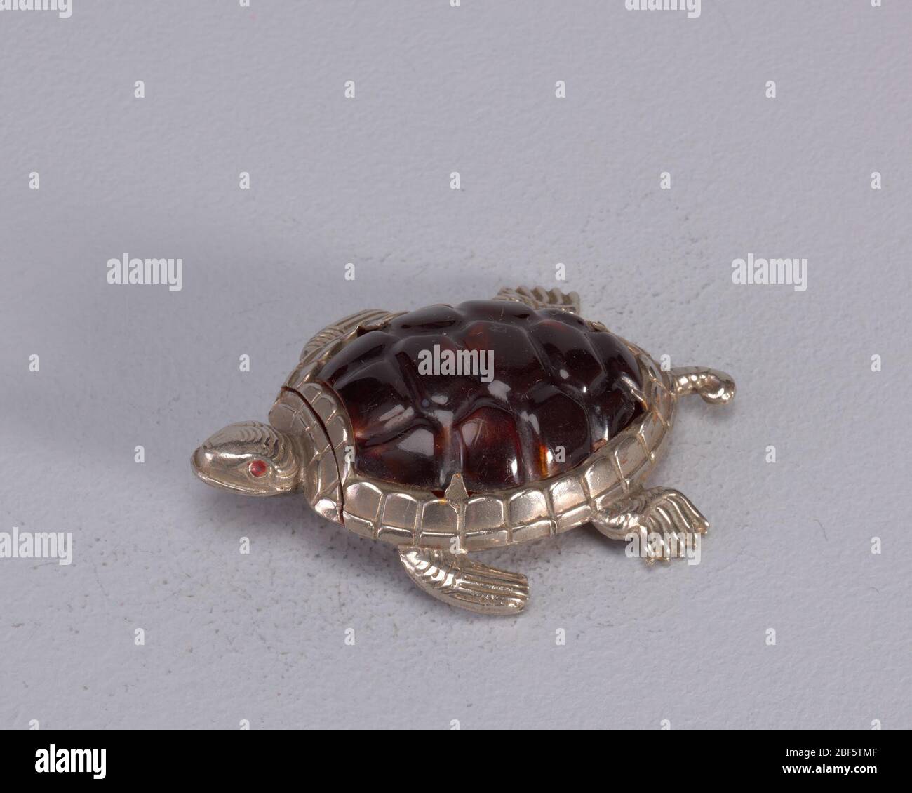 Turtle legs head tail hi-res stock photography and images - Alamy