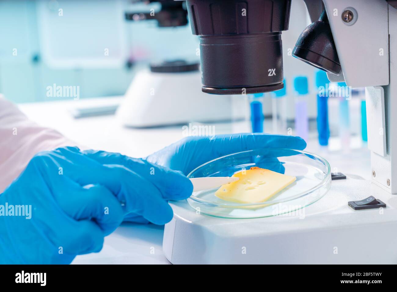Inspection of meat and fish quality in the food quality laboratory ...