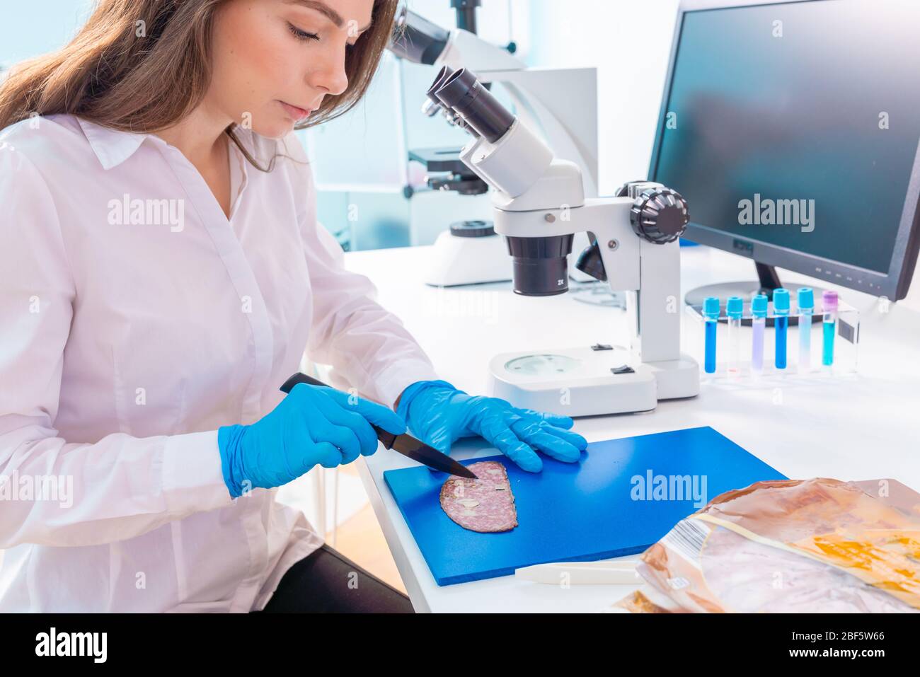 Inspection of meat and fish quality in the food quality laboratory ...