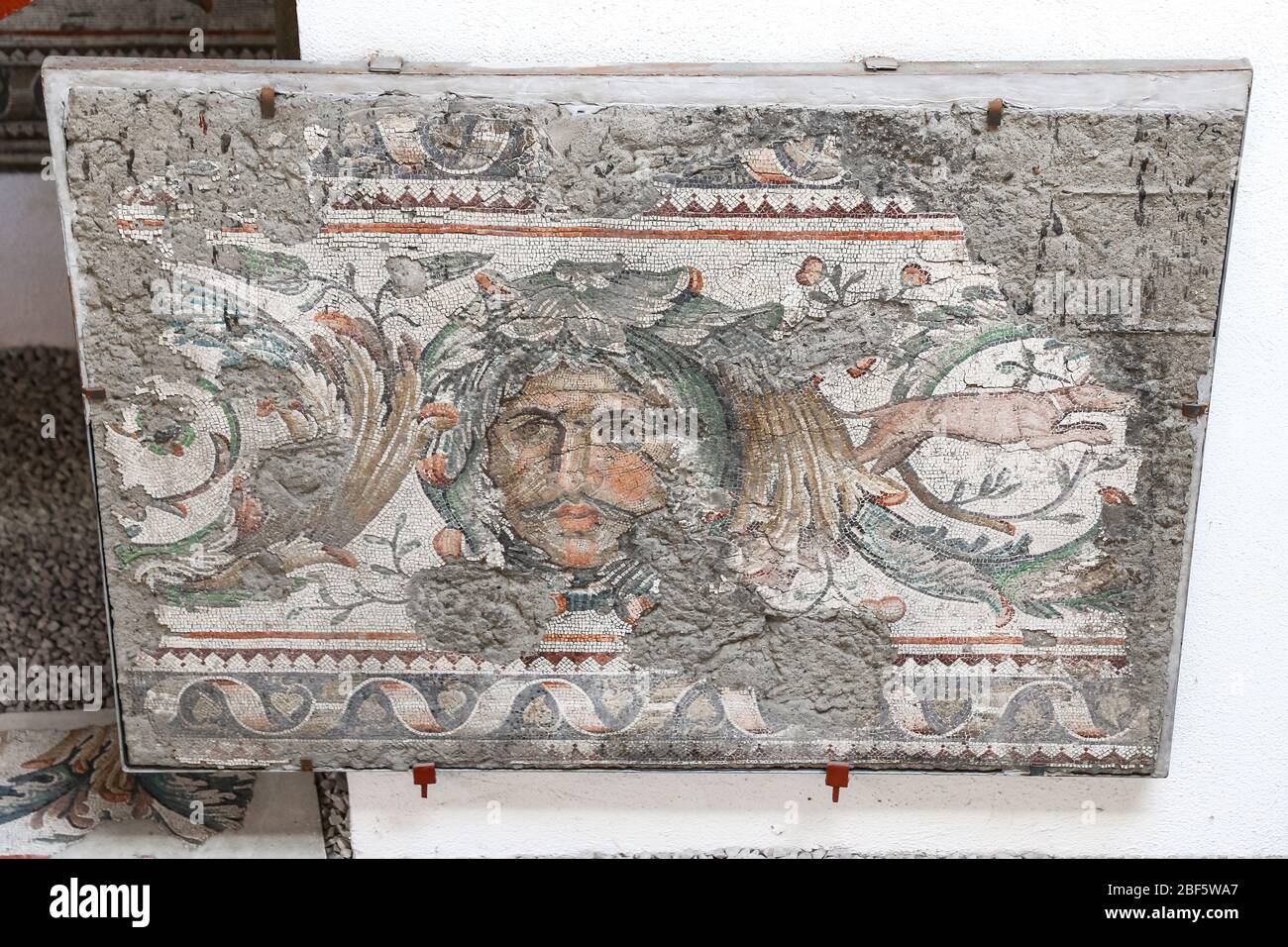 Great palace mosaic museum hi-res stock photography and images - Alamy