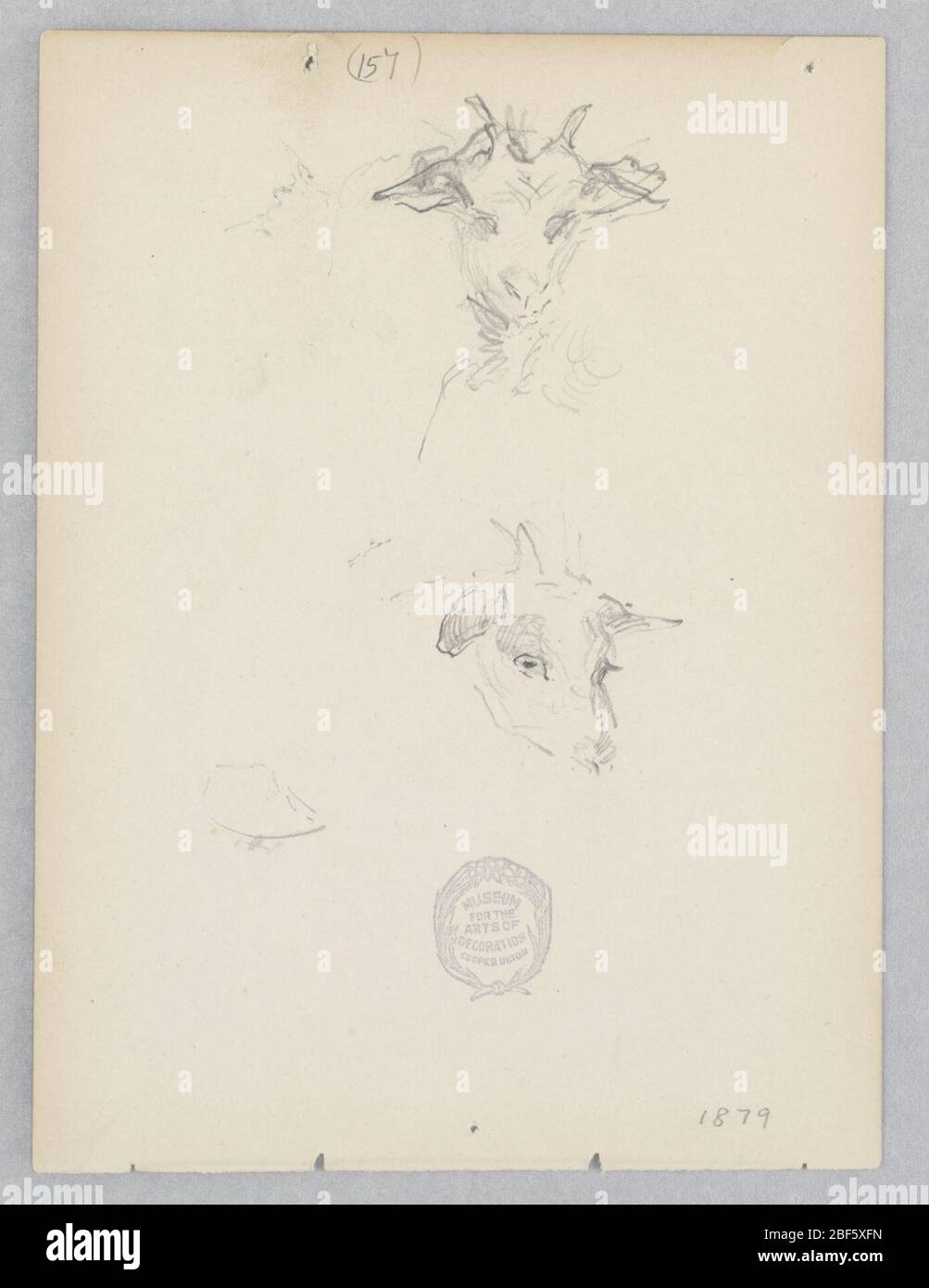 Goat. Two sketches of a goat's head Stock Photo - Alamy