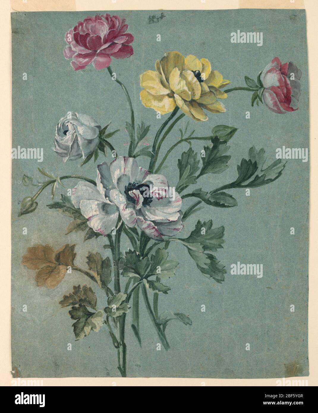 Study of a Bunch of Roses Stock Photo - Alamy