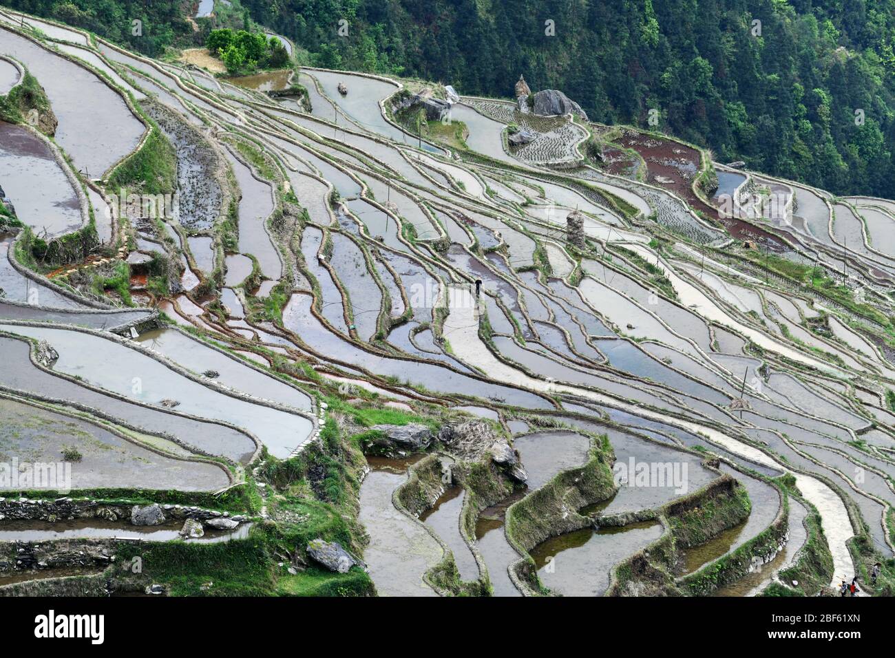 Congjiang hi-res stock photography and images - Alamy