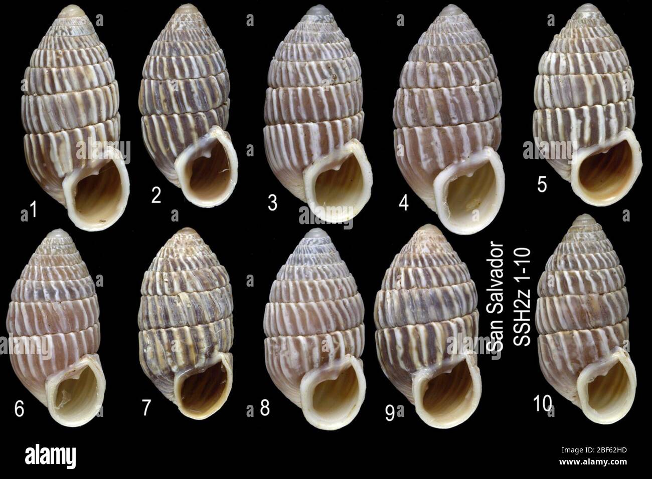 201412 hi-res stock photography and images - Alamy