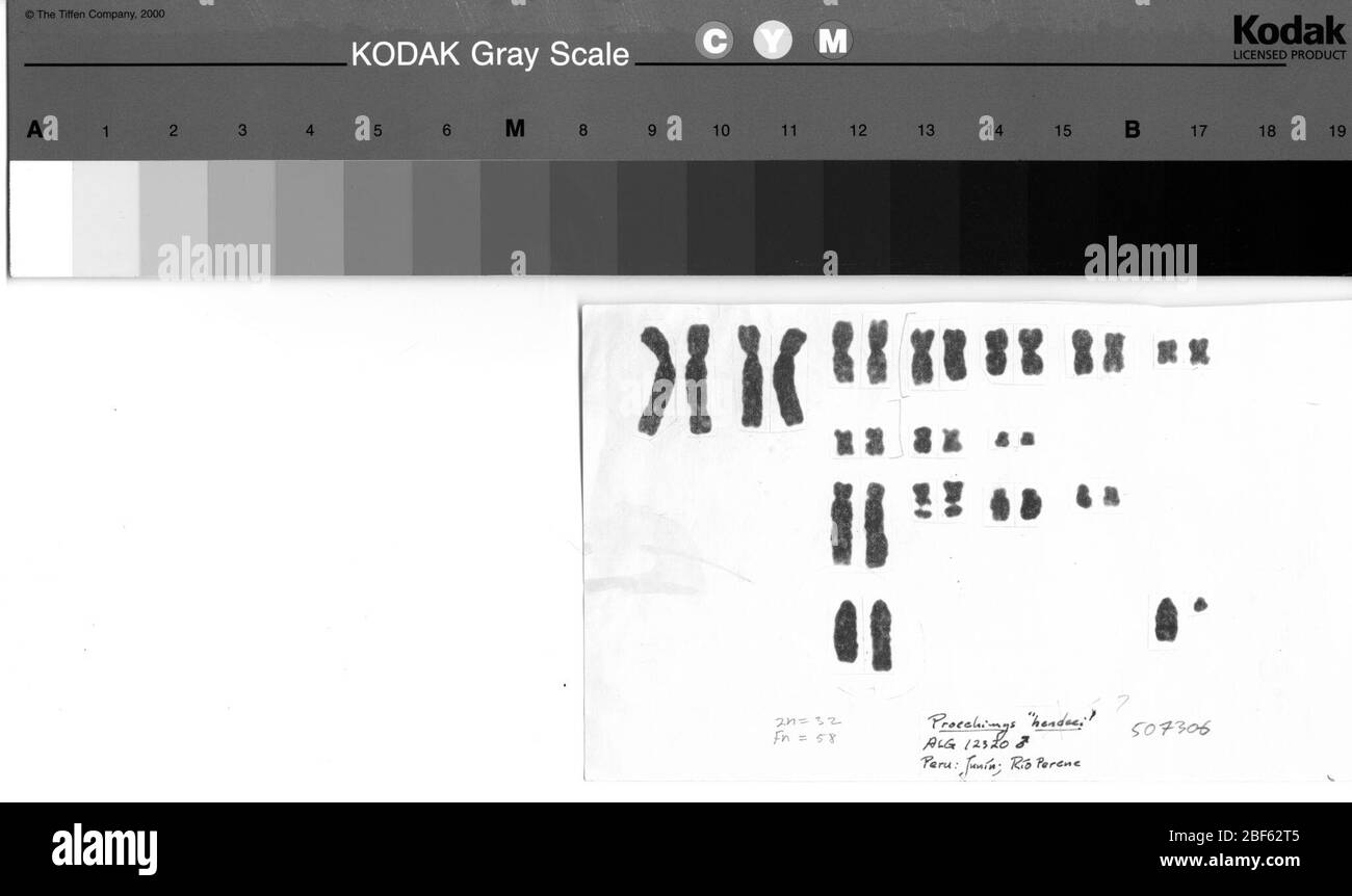 2019 20 Black and White Stock Photos & Images - Alamy