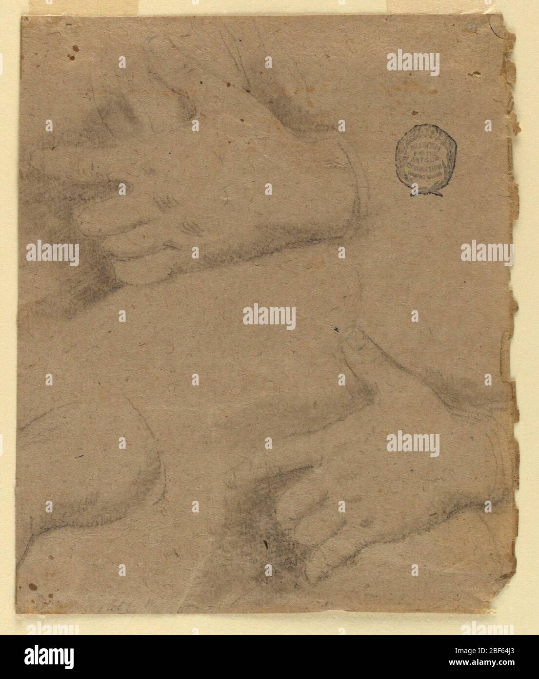 Study Three left hands. Vertical composition of three left hands. A ...