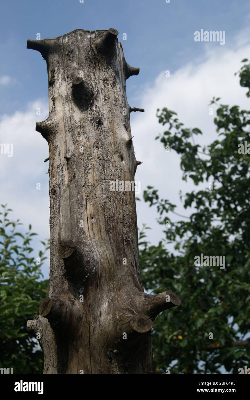 Pologne hi-res stock photography and images - Alamy