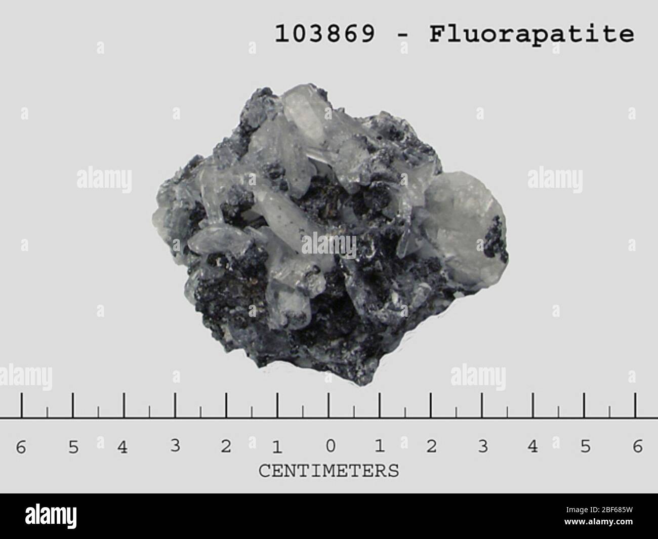 Fluorapatite hi-res stock photography and images - Alamy