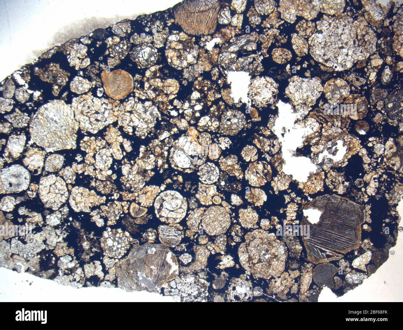 Micrograph of MET 00526,2 meteorite under plane-polarized light at 1 ...