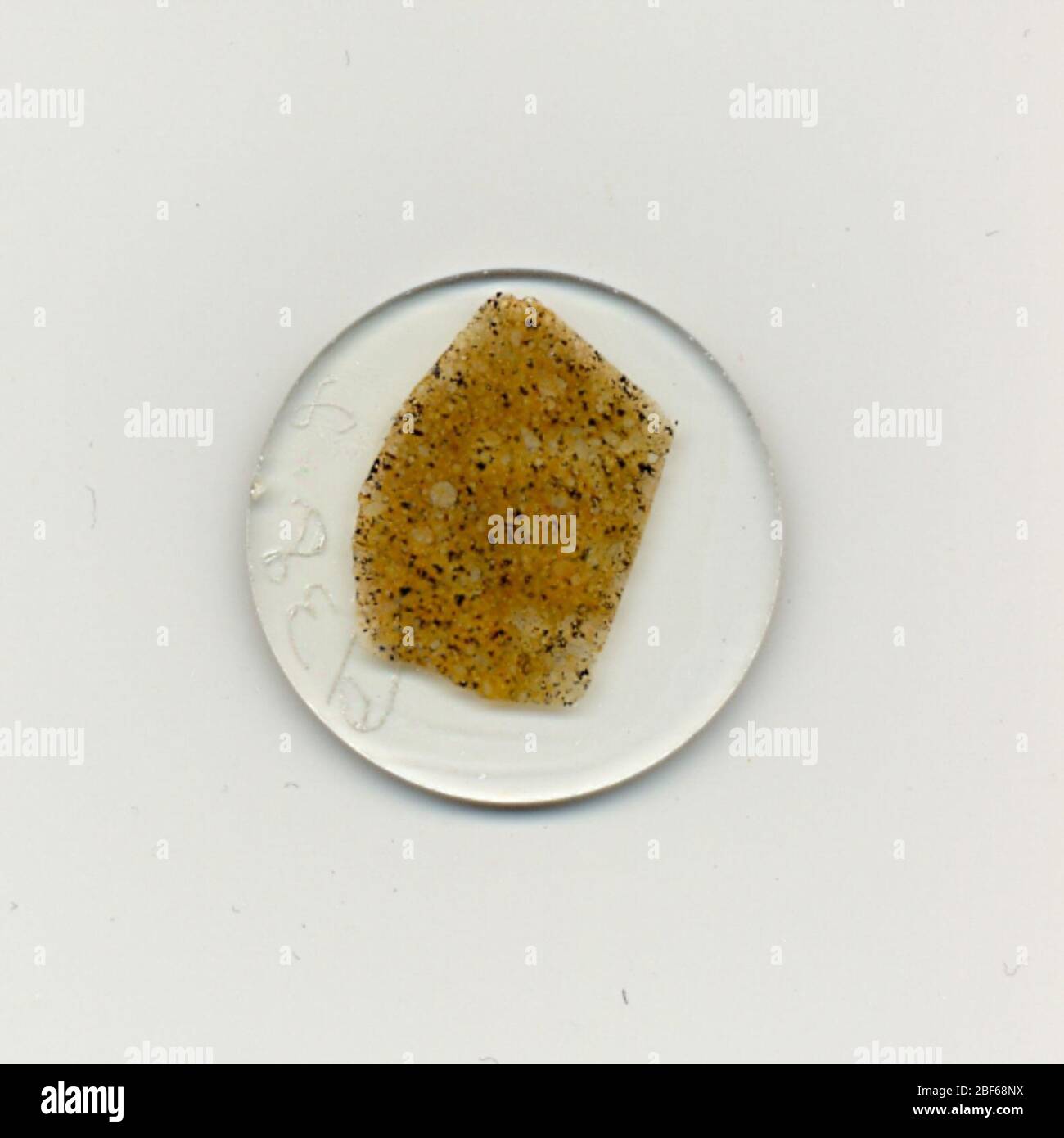 Abbott historical hi-res stock photography and images - Alamy