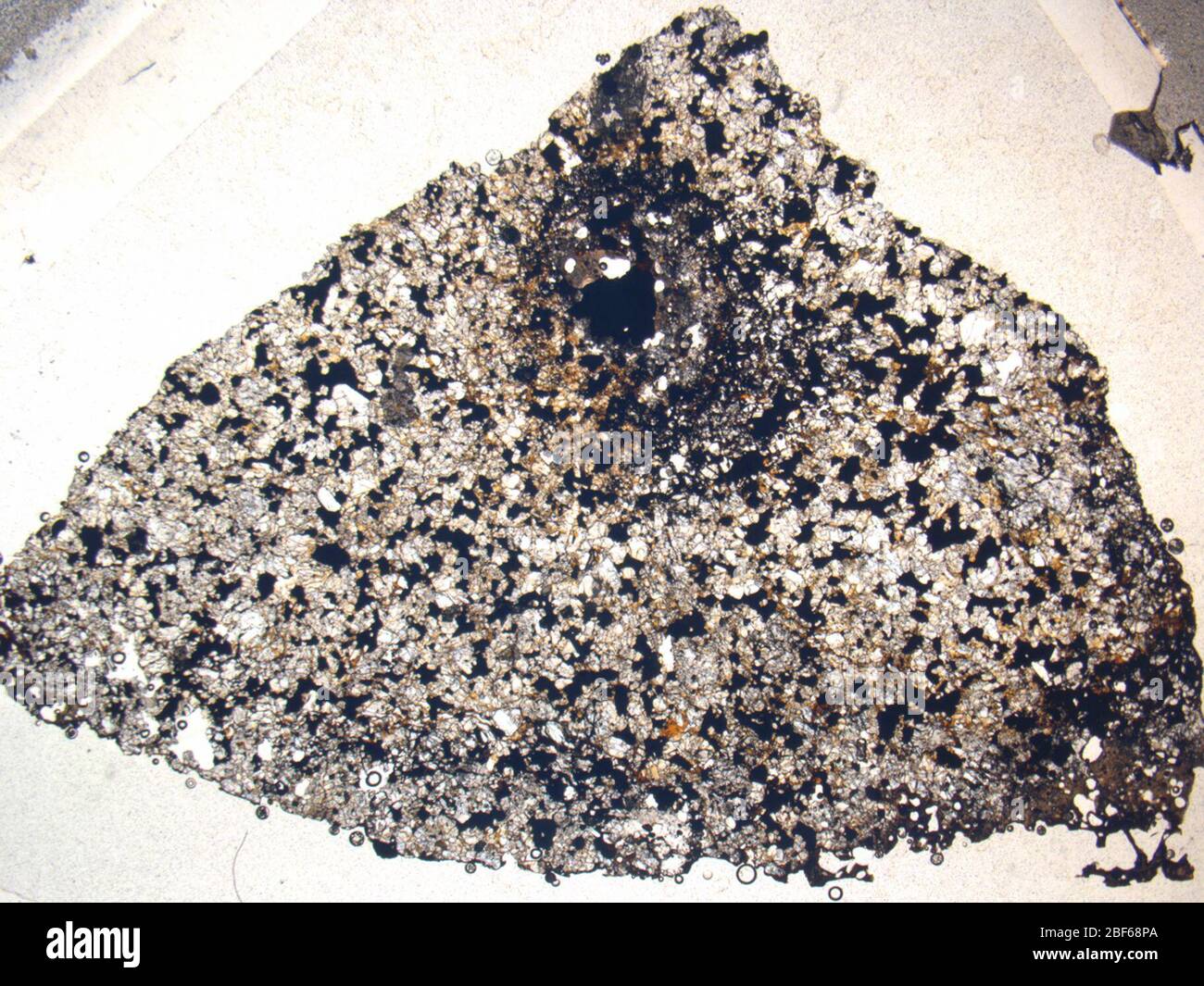 Micrograph of MET 00951,2 meteorite under plane-polarized light at 1 ...