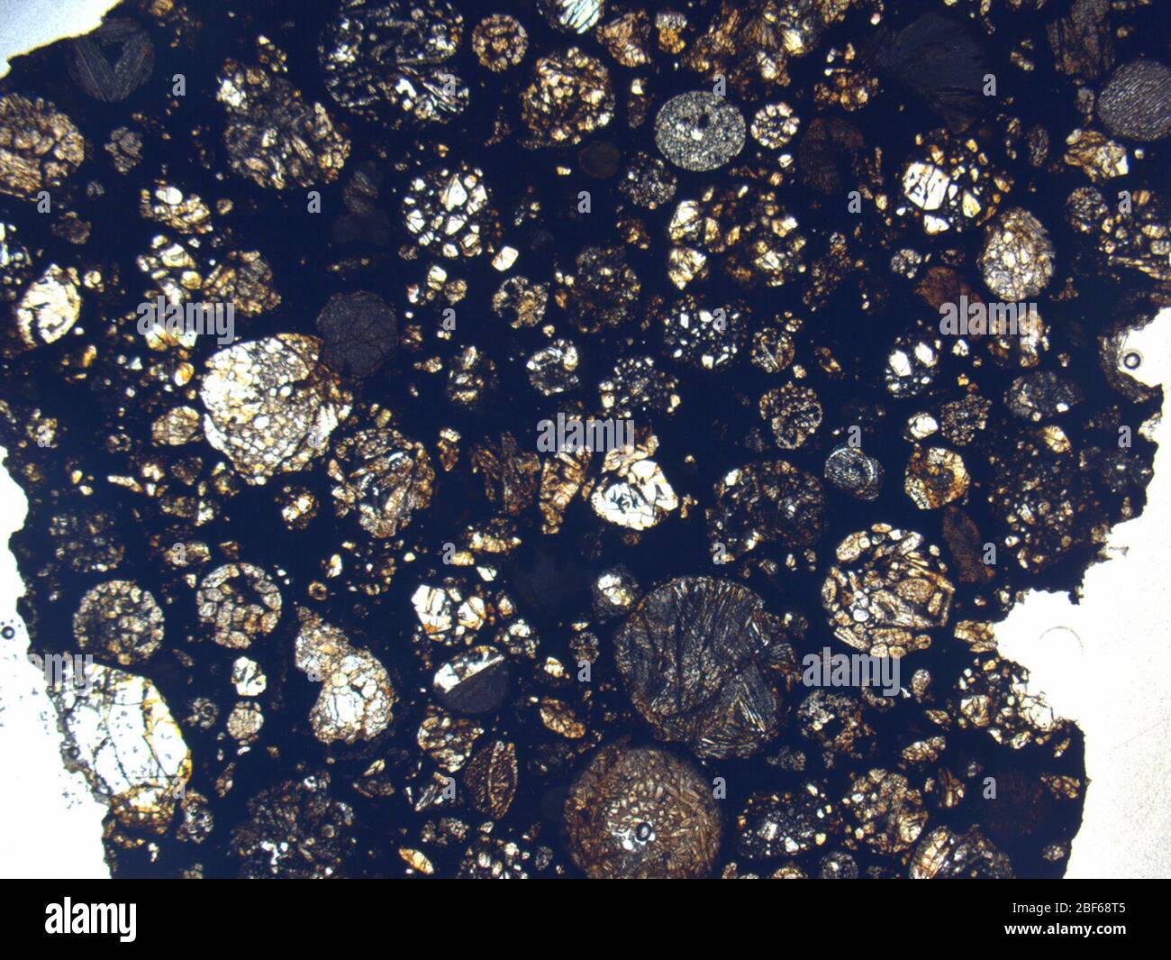 Micrograph of MET 00607,2 meteorite under plane-polarized light at 1 ...