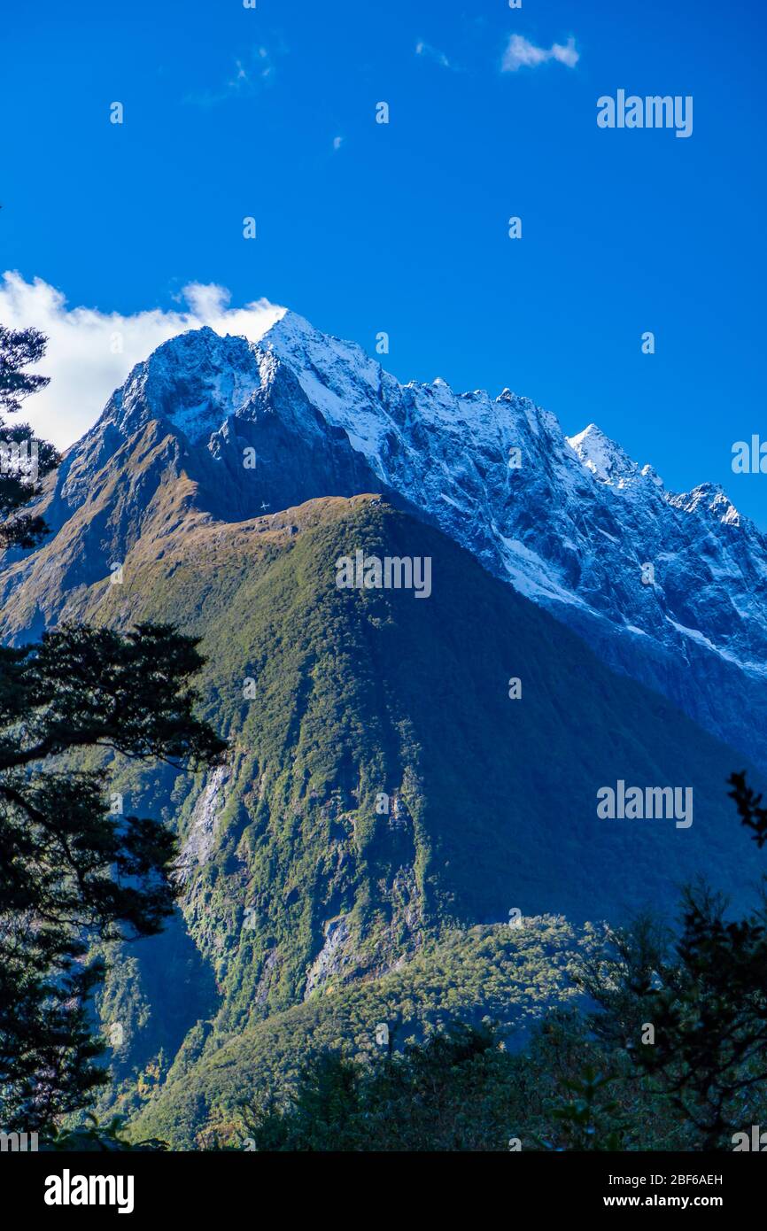 Alpine mountain in New Zealand's South Island Stock Photo - Alamy