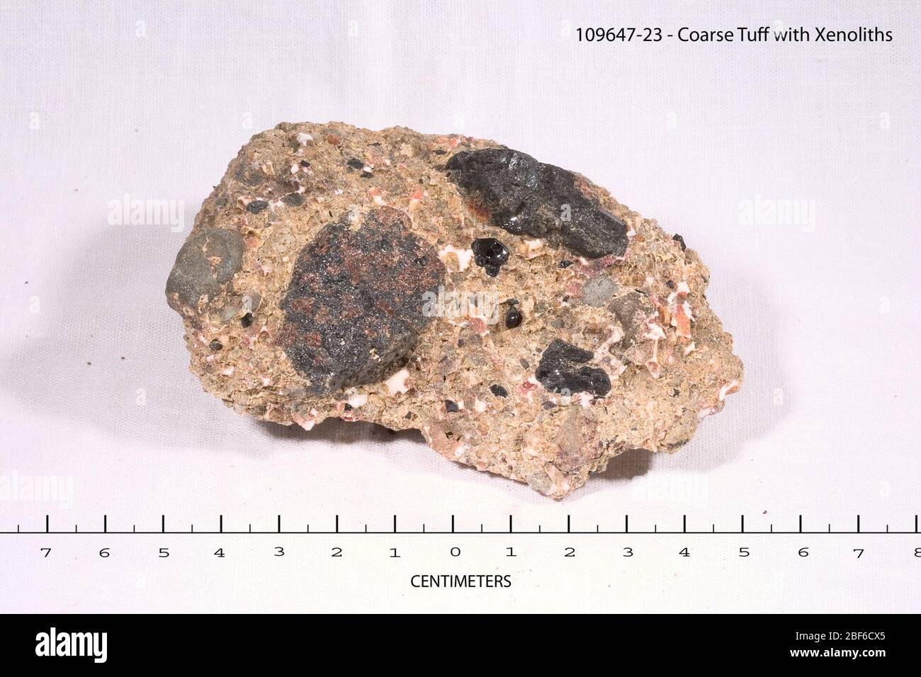 Paleogene High Resolution Stock Photography and Images - Alamy