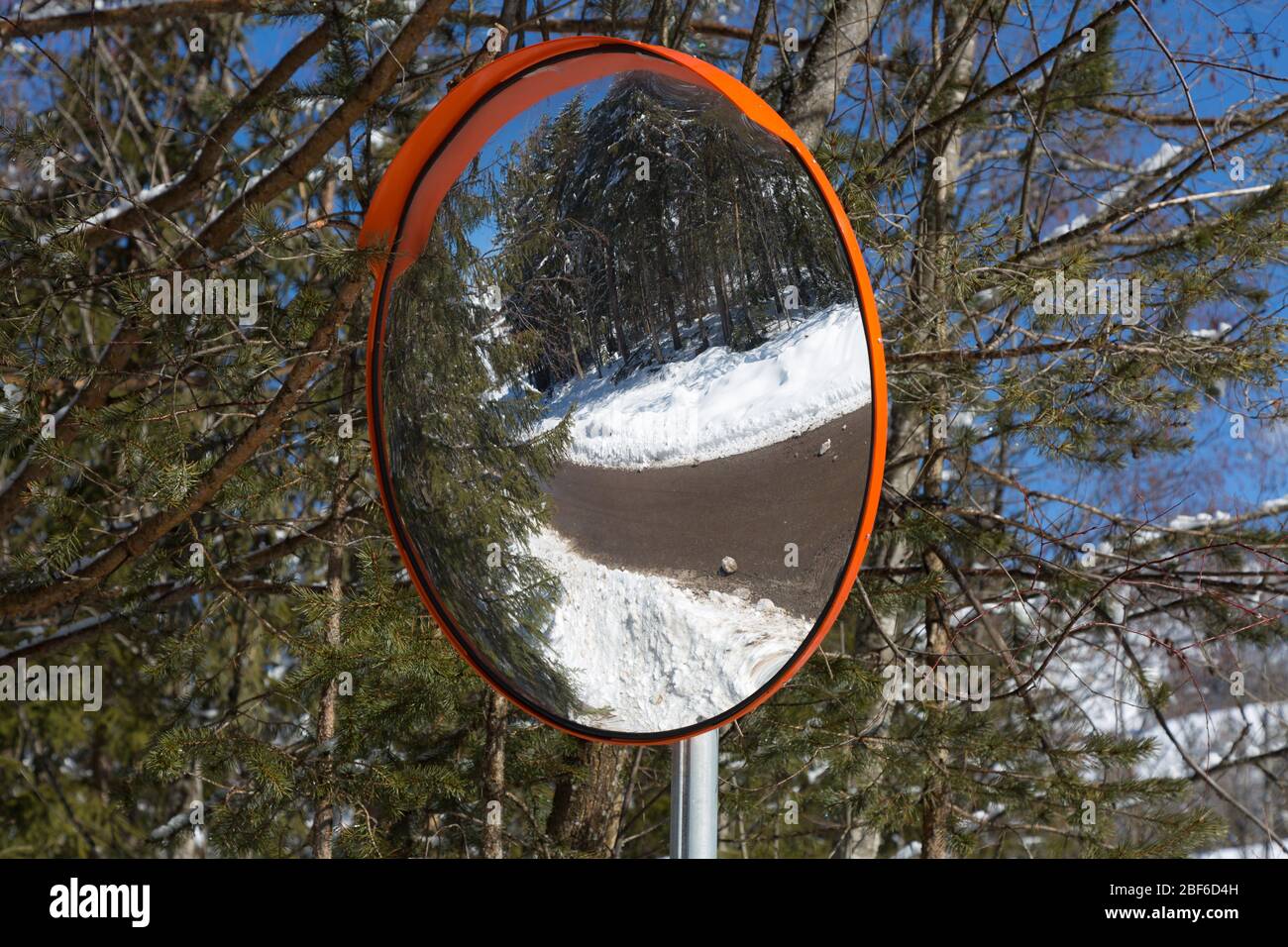 Parabolic Road Mirror Reflecting a Road with Snow and Fir Trees in the ...