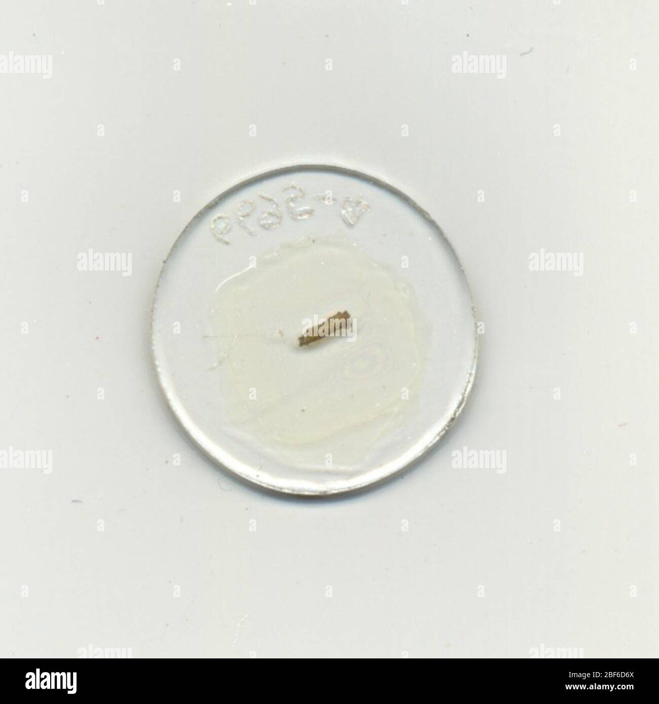 Alais hi-res stock photography and images - Alamy