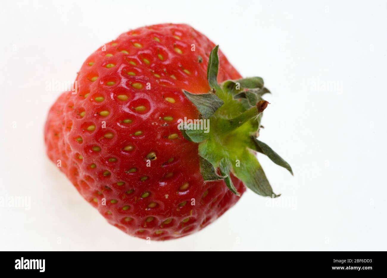 Fragaria sp strawberry hi-res stock photography and images - Alamy