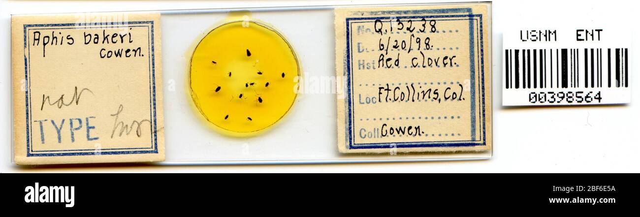 7 oct hi-res stock photography and images - Alamy