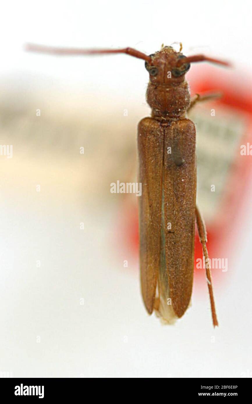 Oeme hi-res stock photography and images - Alamy