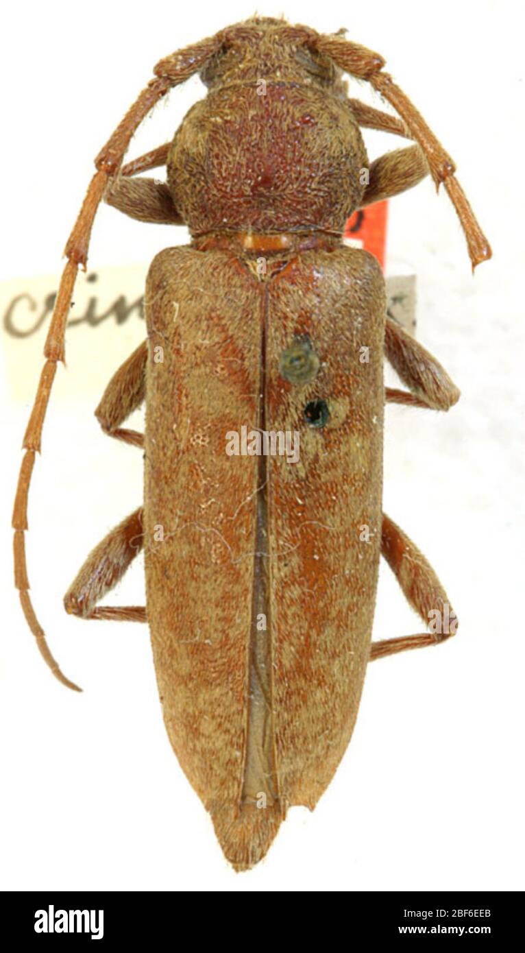 U s conservation Cut Out Stock Images & Pictures - Alamy