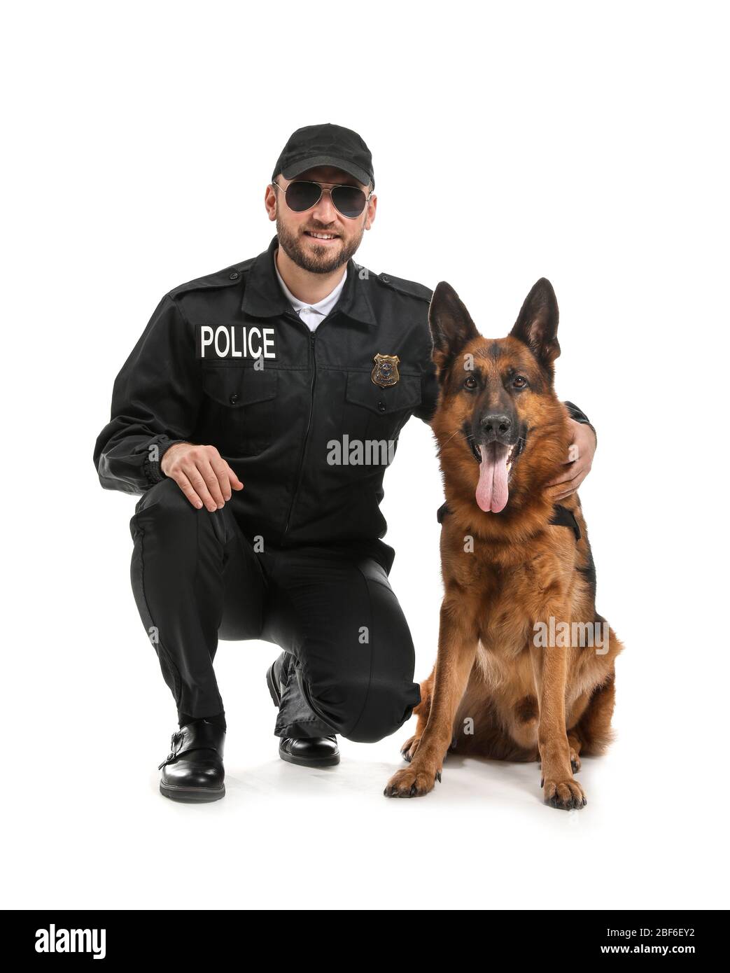 Are All Police Dogs Male