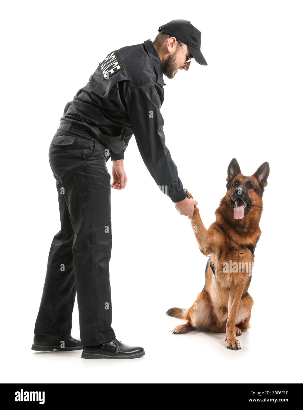 Are All Police Dogs Male