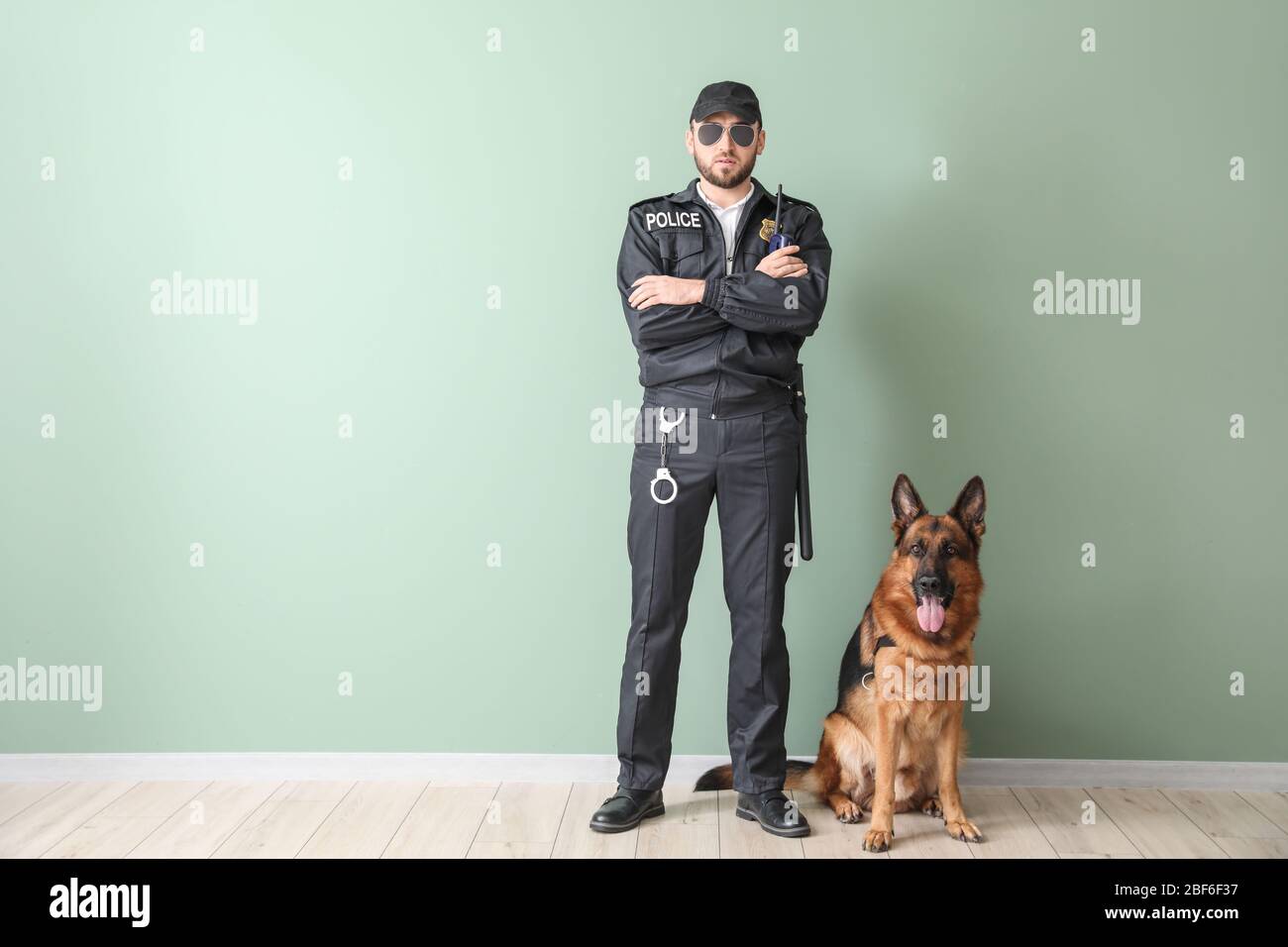 Male police officer with dog near color wall Stock Photo - Alamy