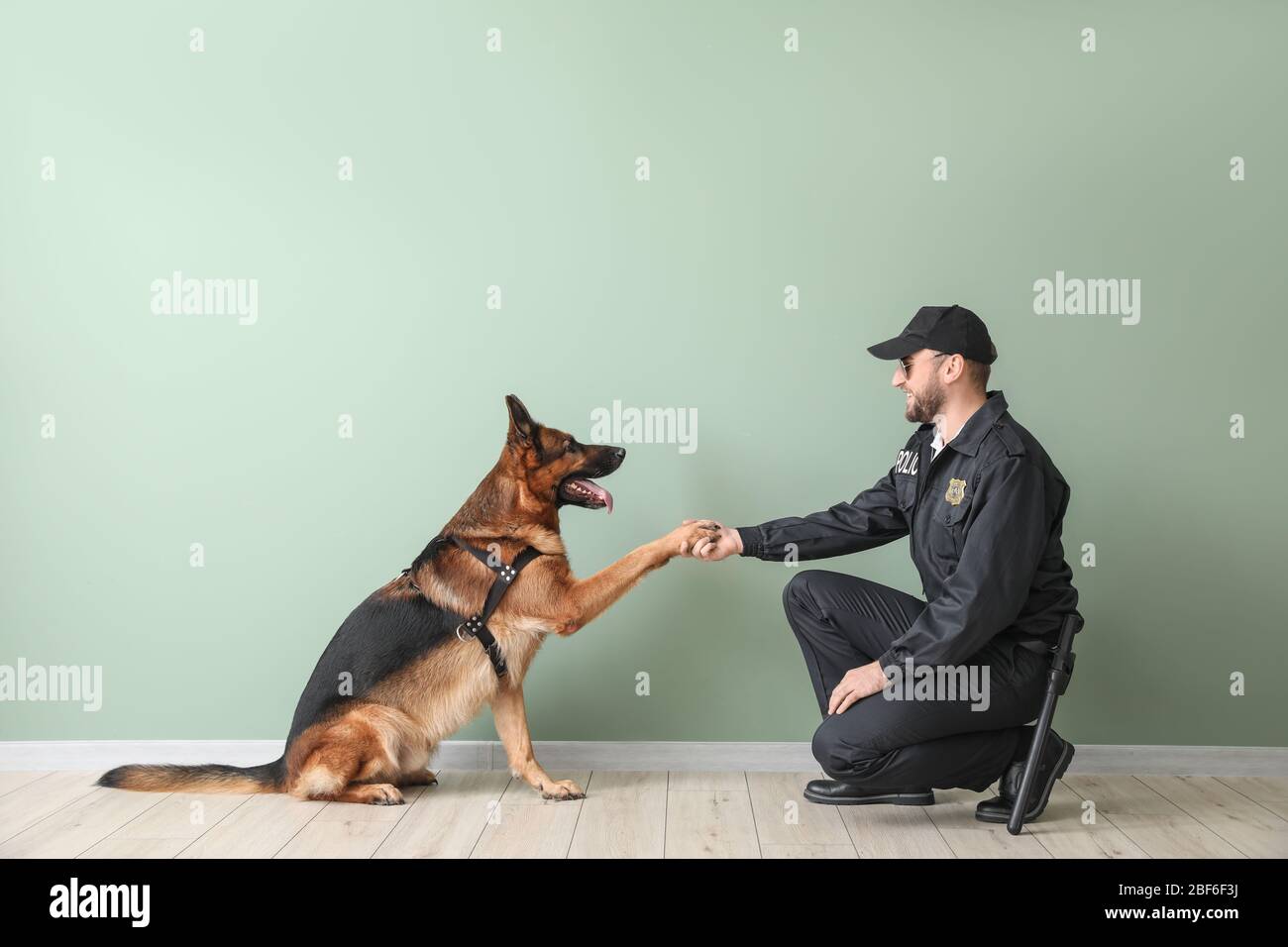 Male police officer with dog near color wall Stock Photo - Alamy