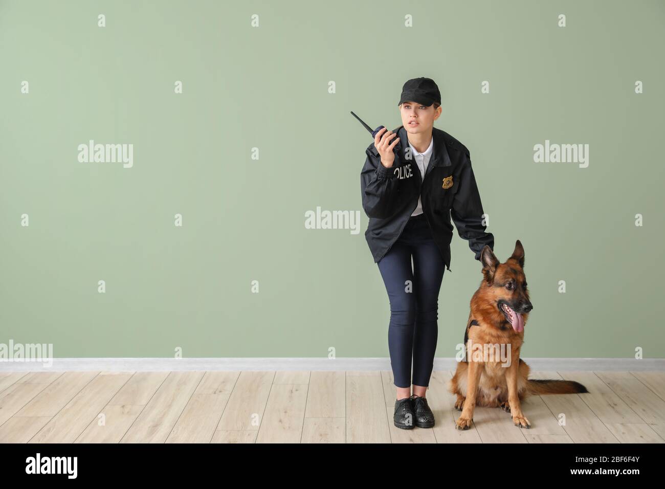 Female police officer with dog near color wall Stock Photo - Alamy
